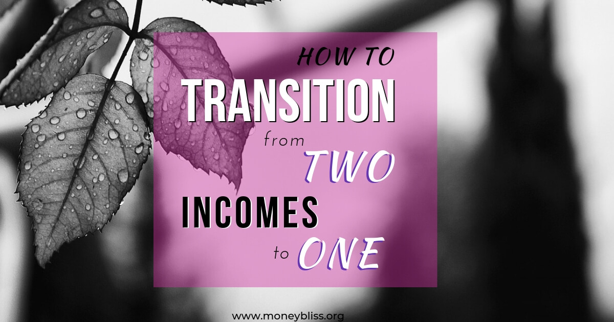 Be Successful on How to Go from Two Incomes to One - Money Bliss