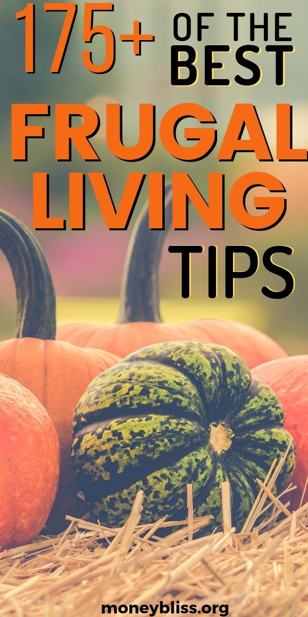 175+ Simple and Easy Frugal Living Tips to Save Money in 2025 - Money Bliss