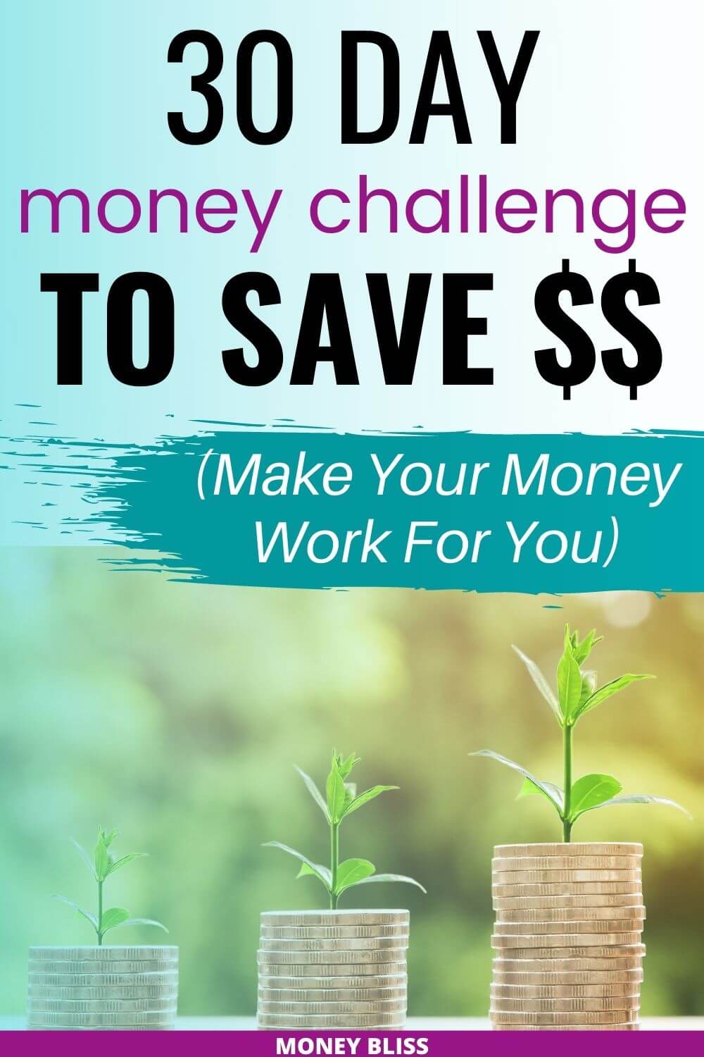 30 Day Money Challenge: How to Make Your Money Work For You - Money Bliss