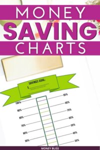 Saving Money Chart: The Secret To Increasing Net Worth - Money Bliss