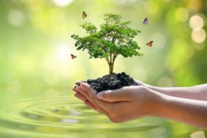 How to Be Frugal Green: 91+ Tips to Save Money and Environment - Money ...