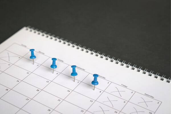 How Many Work Days In A Year 2023 Money Bliss
