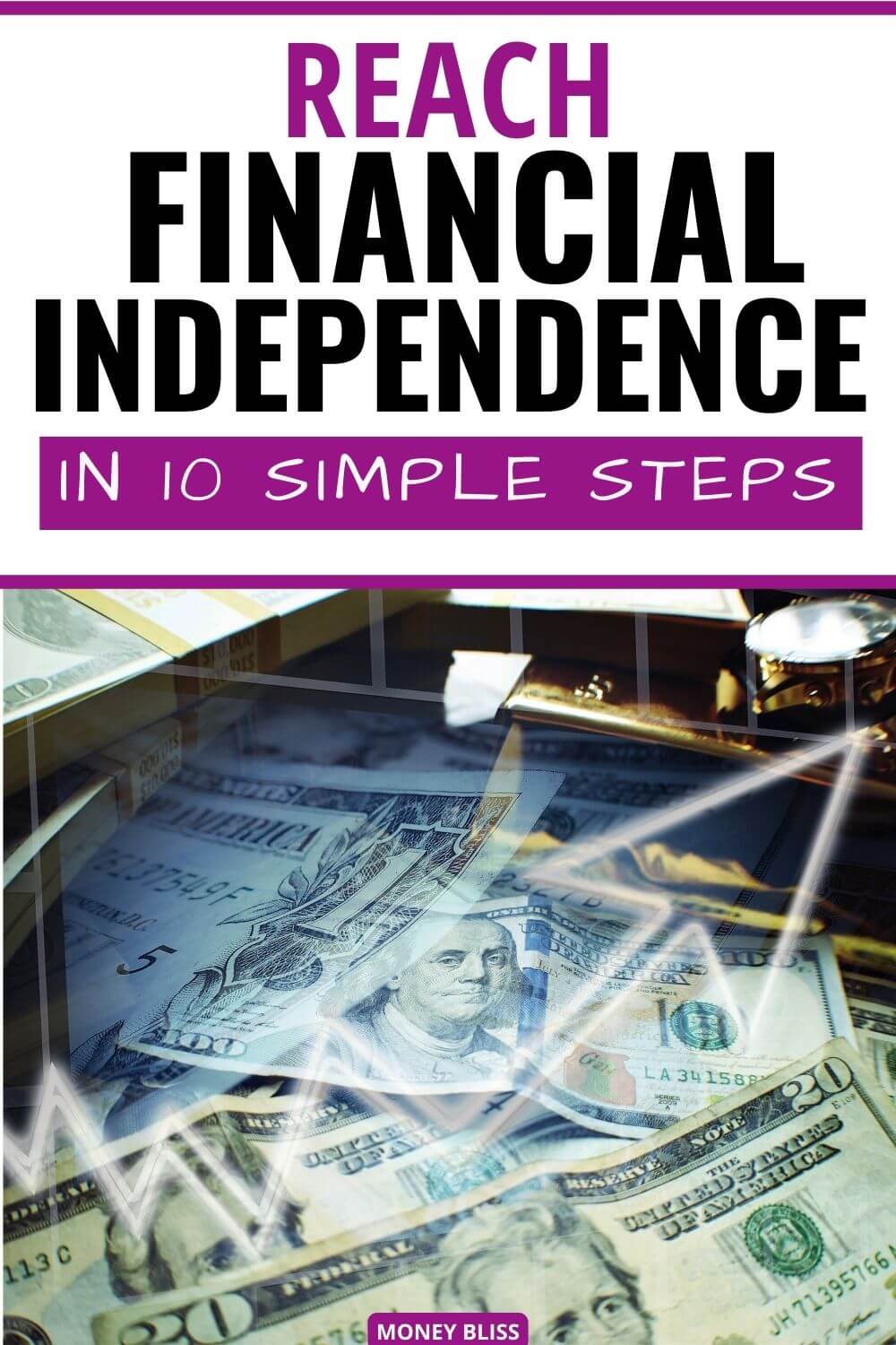 10 Secrets to Reach FI - Money Bliss