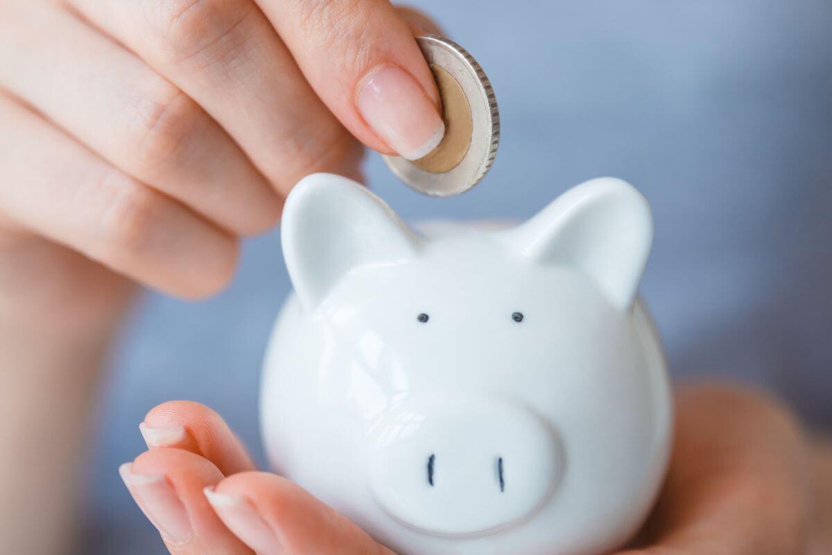 The Ultimate Biweekly Money Saving Challenge - Save in 2024 - Money Bliss