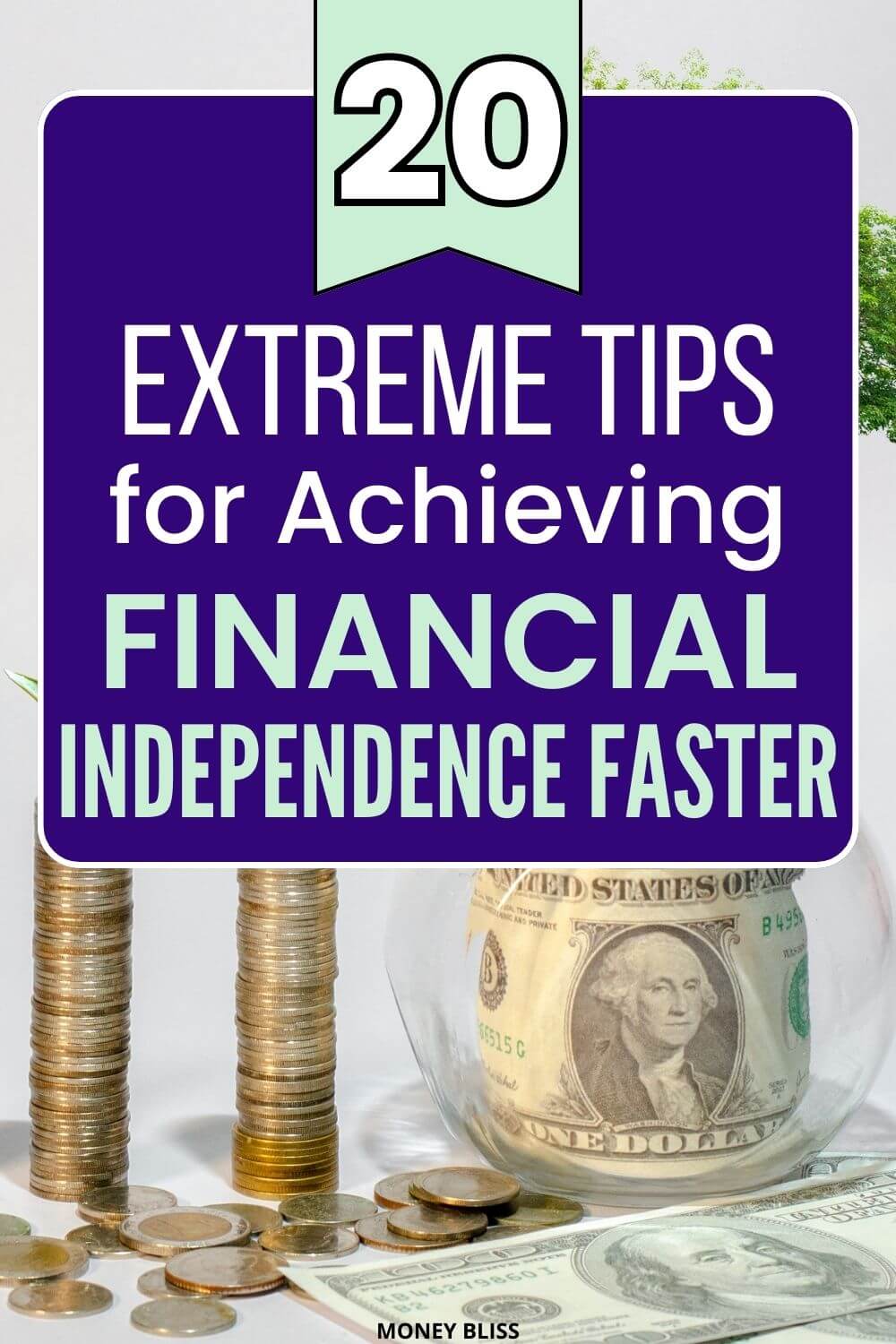 20 Extreme Ideas for Achieving Financial Independence Faster - Money Bliss
