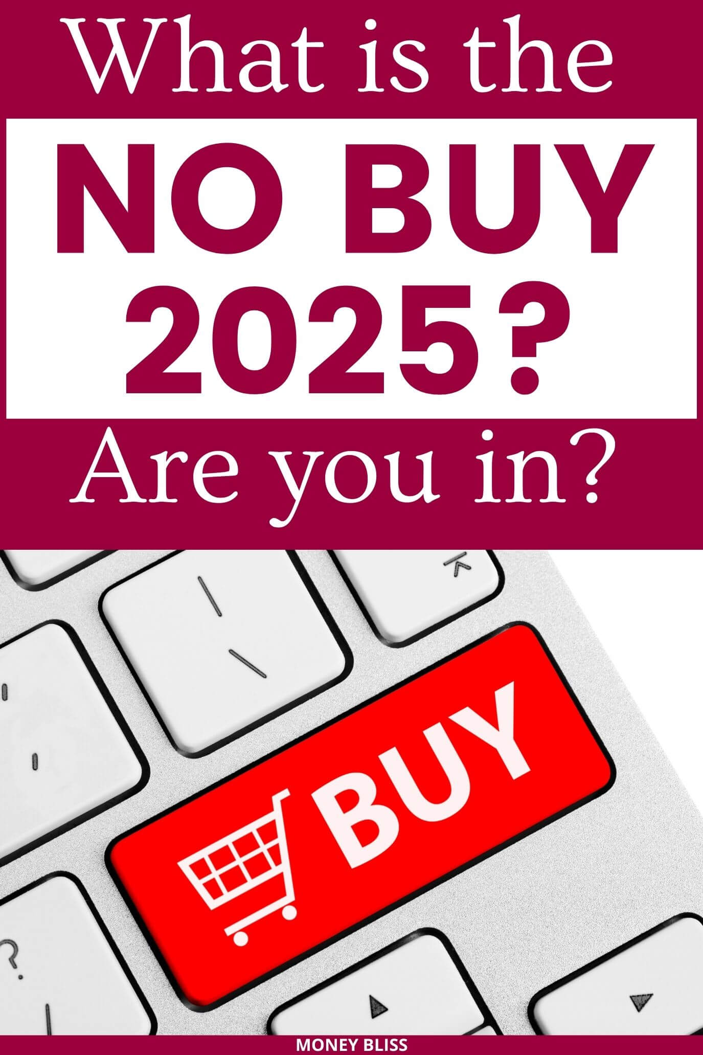 The Pledge to Buy Less with the No Buy 2025 Trend - Money Bliss
