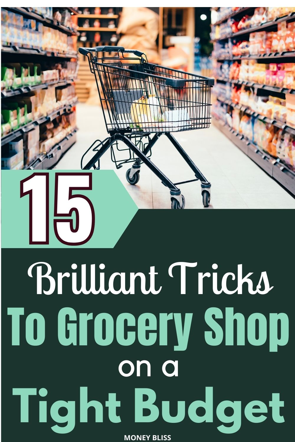 15 Brilliant Tips to Grocery Shop on a Tight Budget - Money Bliss