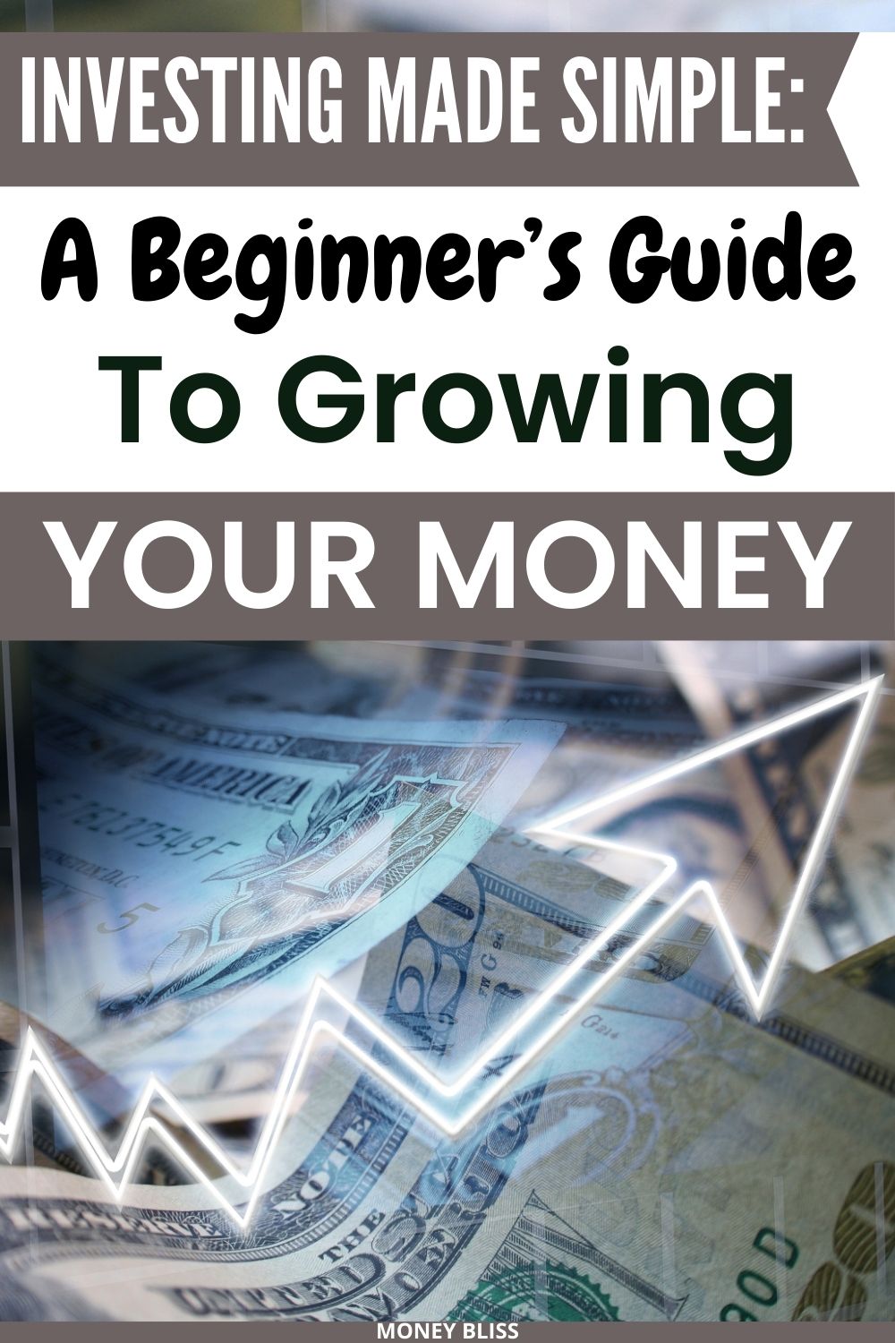 Investing For Beginners: Easy Investing Tips for First-Timers - Money Bliss
