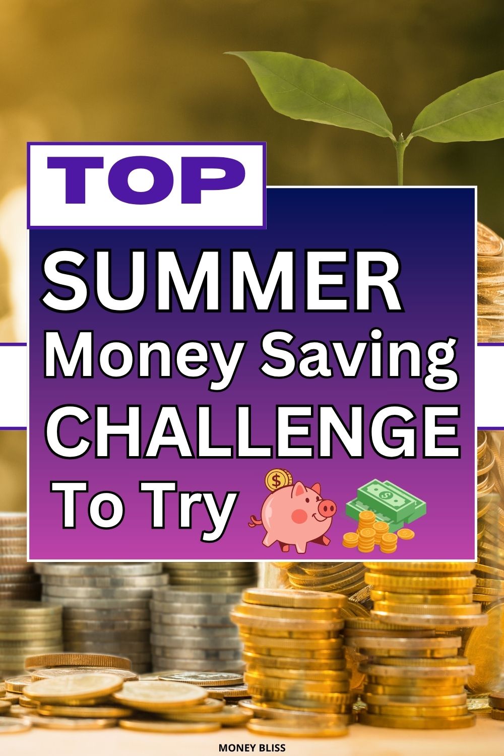 Top Summer Money Savings Challenge to Try - Money Bliss